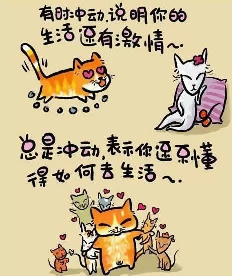 猫咪段子最新版官网版下载