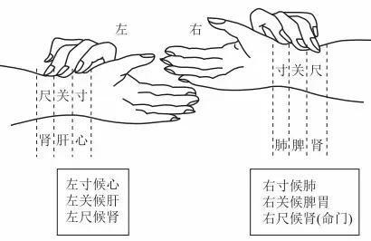 分脉是什么