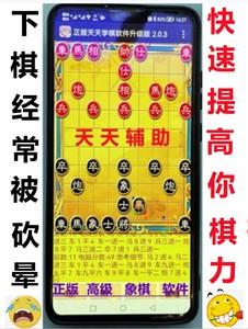 天天象棋挂机刷分软件图标