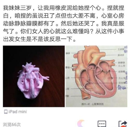 用妹妹的身体做实验纸桃子移植图标